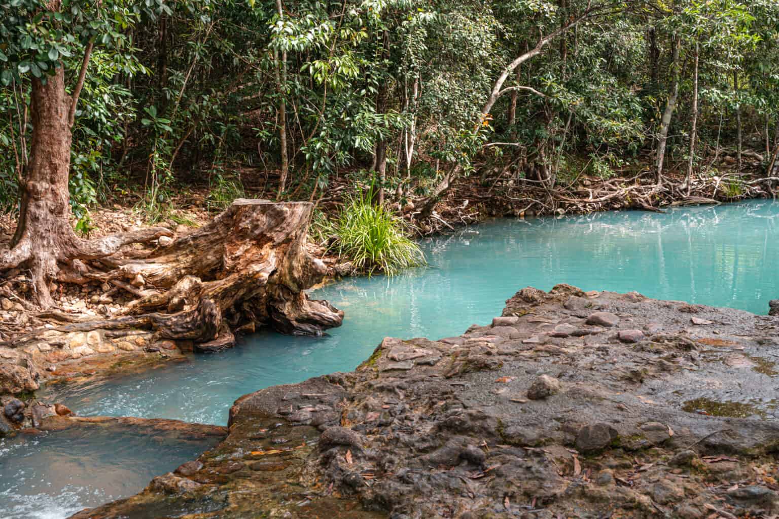 Queensland's Cardwell Spa Pools – A Hidden Gem - Wade & Dani October ...