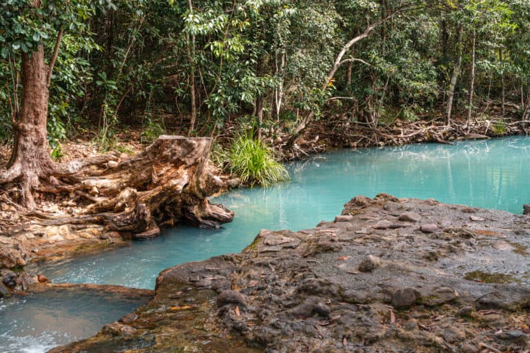 Queensland's Cardwell Spa Pools – A Hidden Gem - Travel With Wade and Dani