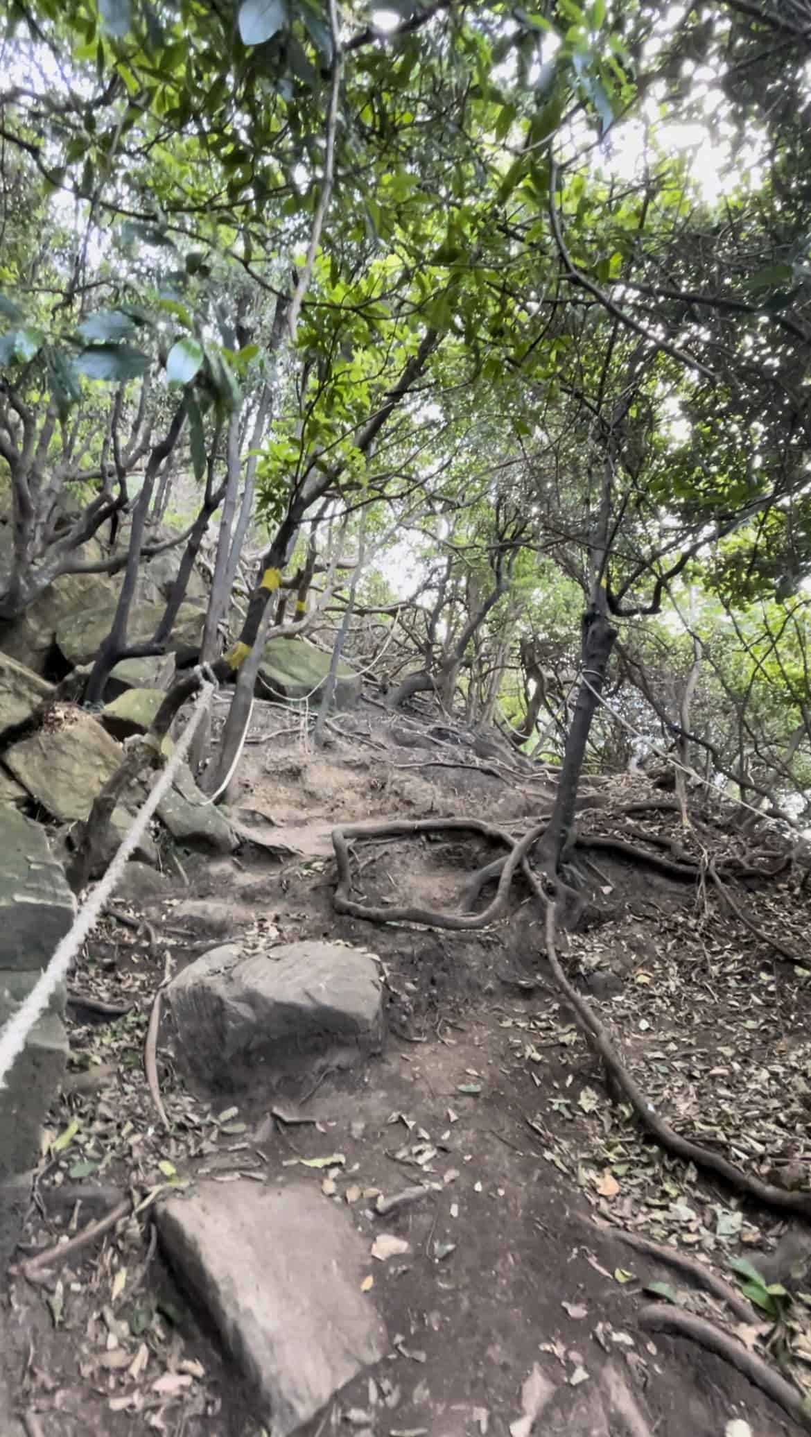 How to find the Secret Sea Cliff Bridge Lookout - Wade & Dani October ...