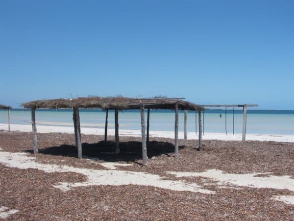 Unforgettable Beach Camping at Perlubie Beach, near Streaky Bay ...