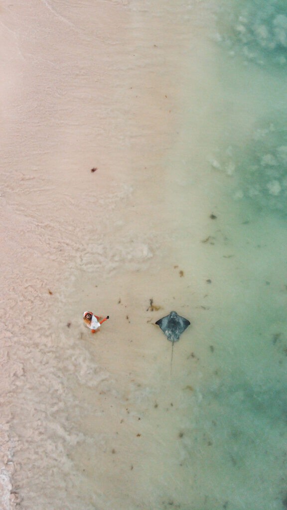Exploring the Magical Hamelin Bay Stingrays of Western Australia - Wade ...