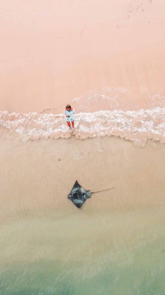 Exploring the Magical Hamelin Bay Stingrays of Western Australia - Wade ...